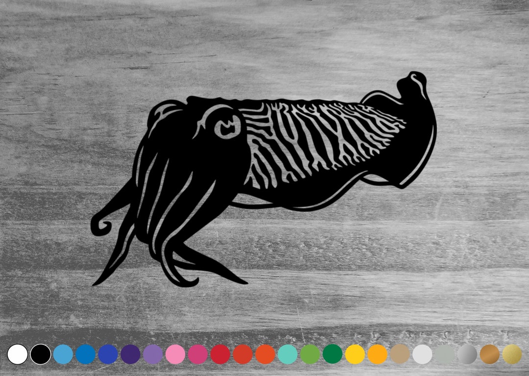 Cuttlefish Vinyl Decal Sticker for Car Truck Rv Camper Van Atv Window ...
