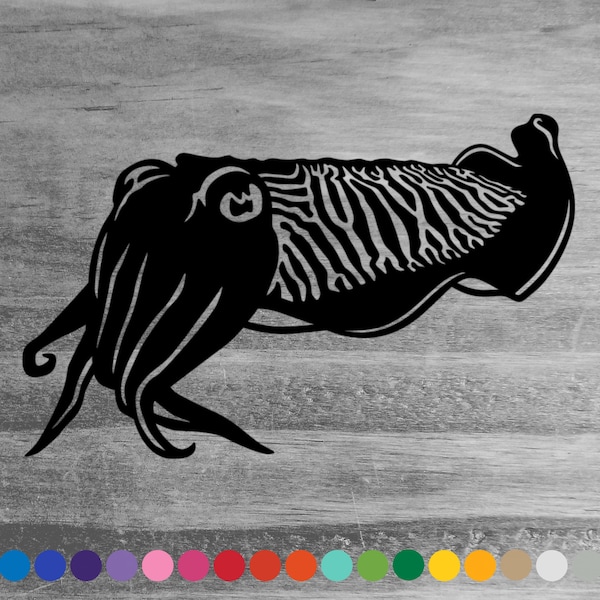Cuttlefish - Etsy
