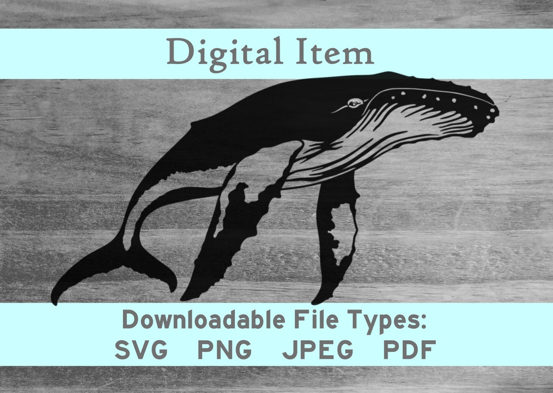 Humpback Whale Svg Png Jpeg Pdf Digital File Download -not a Physical ...