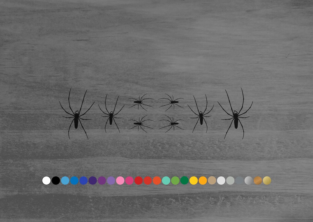 Spider 8 Pack Vinyl Decals Sticker for Car Truck Rv Camper Van Atv ...