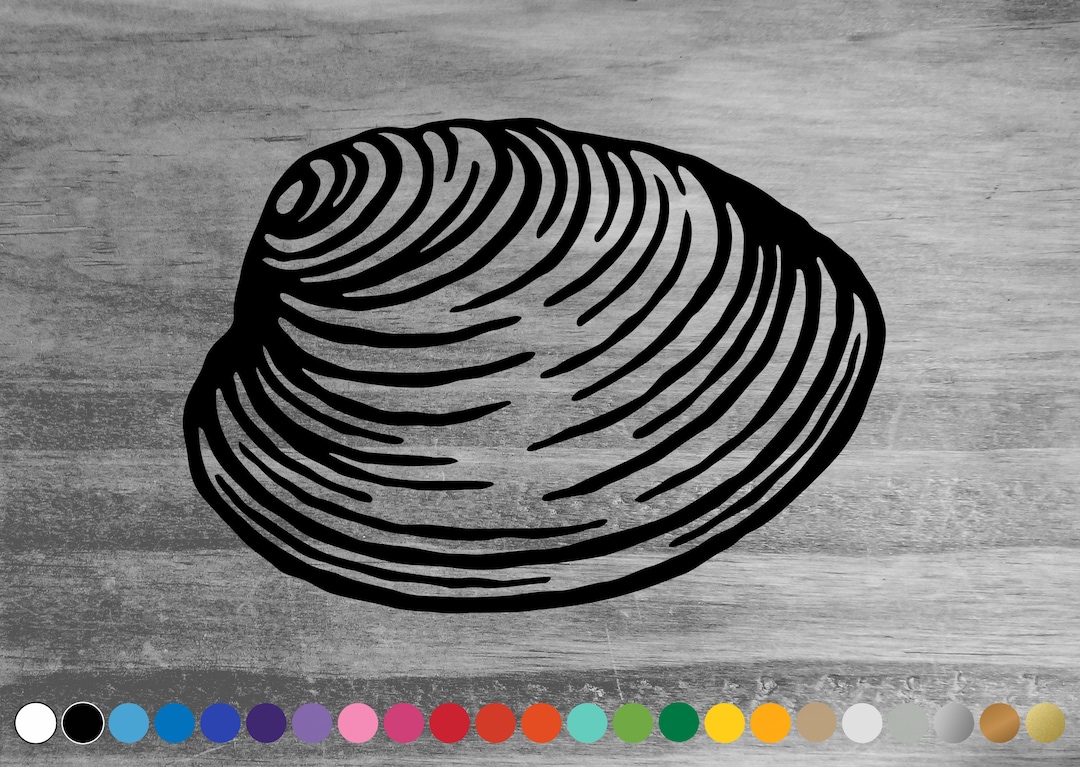 Quahog Shell Vinyl Decal Sticker for Car Truck Suv Rv Van 4x4 Window ...