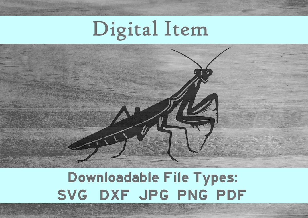 Praying Mantis Svg Dxf Png Jpeg Pdf Digital File Download -NOT a ...