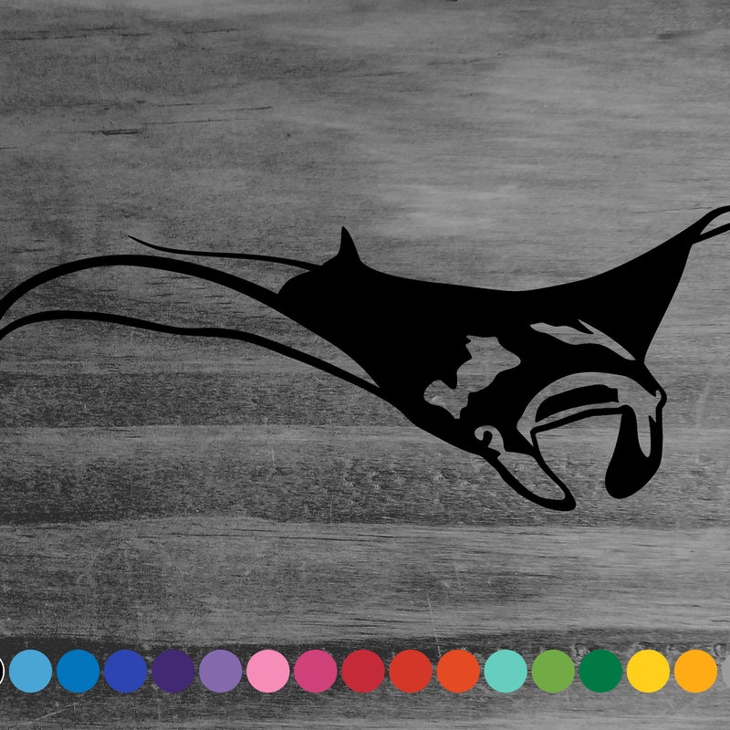 Rays Door Decal - Etsy