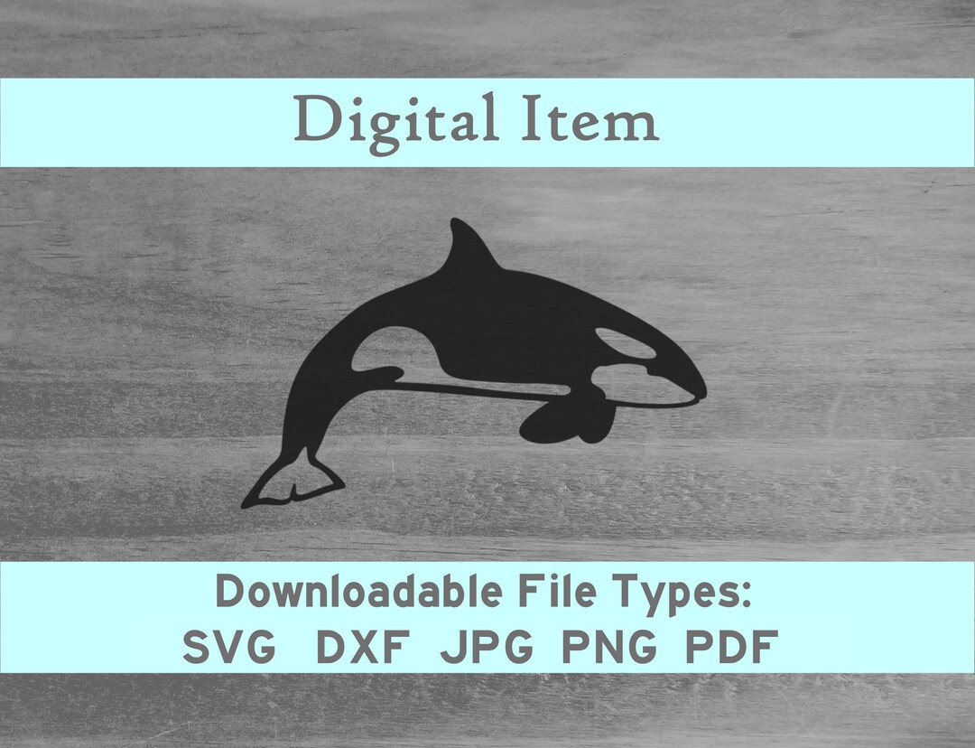 Orca Killer Whale Svg Dxf Png Jpeg Pdf Digital File Download -not a ...