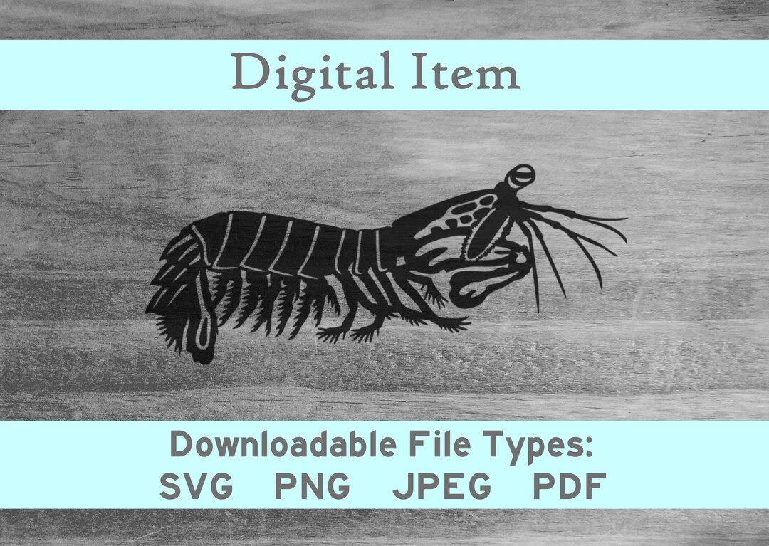 Mantis Shrimp Svg Png Jpeg Dxf Pdf Digital File Download NOT a Physical ...