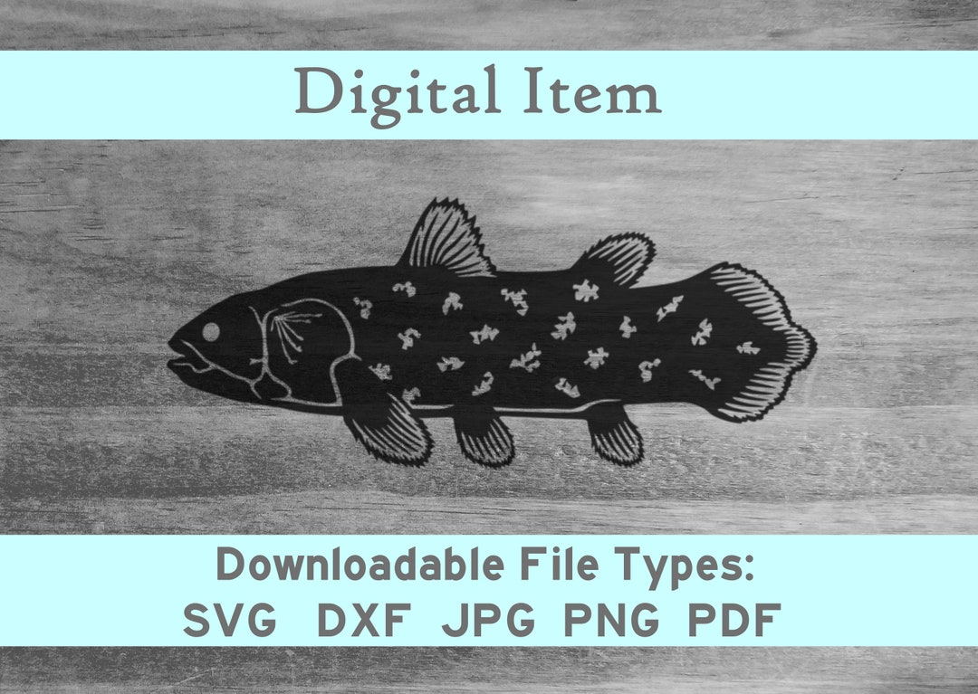 Coelacanth Svg Dxf Png Jpeg Pdf Digital File Download -NOT a Physical ...
