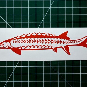 Sturgeon Vinyl Decal Sticker for Car Truck Rv Van 4x4 Atv Window Bumper ...