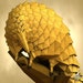 Pangolin, Lizard, Papercraft, Pangolin, Pepakura, Lowpoly, Low Polygon ...