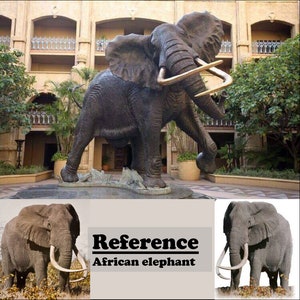 African Elephant, Papercraft, Pepakura, Lowpoly, Low Polygon, 3D ...