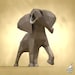 African Elephant, Papercraft, Pepakura, Lowpoly, Low Polygon, 3D ...