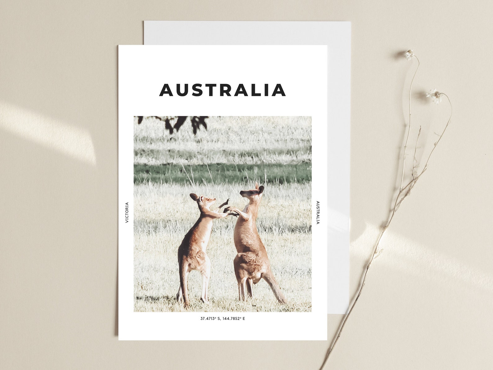 Australia Print Kangaroo Poster Animal Sydney Melbourne Wall | Etsy