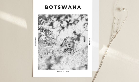 Botswana Print Lion Poster Africa Wall Art Animal Safari | Etsy