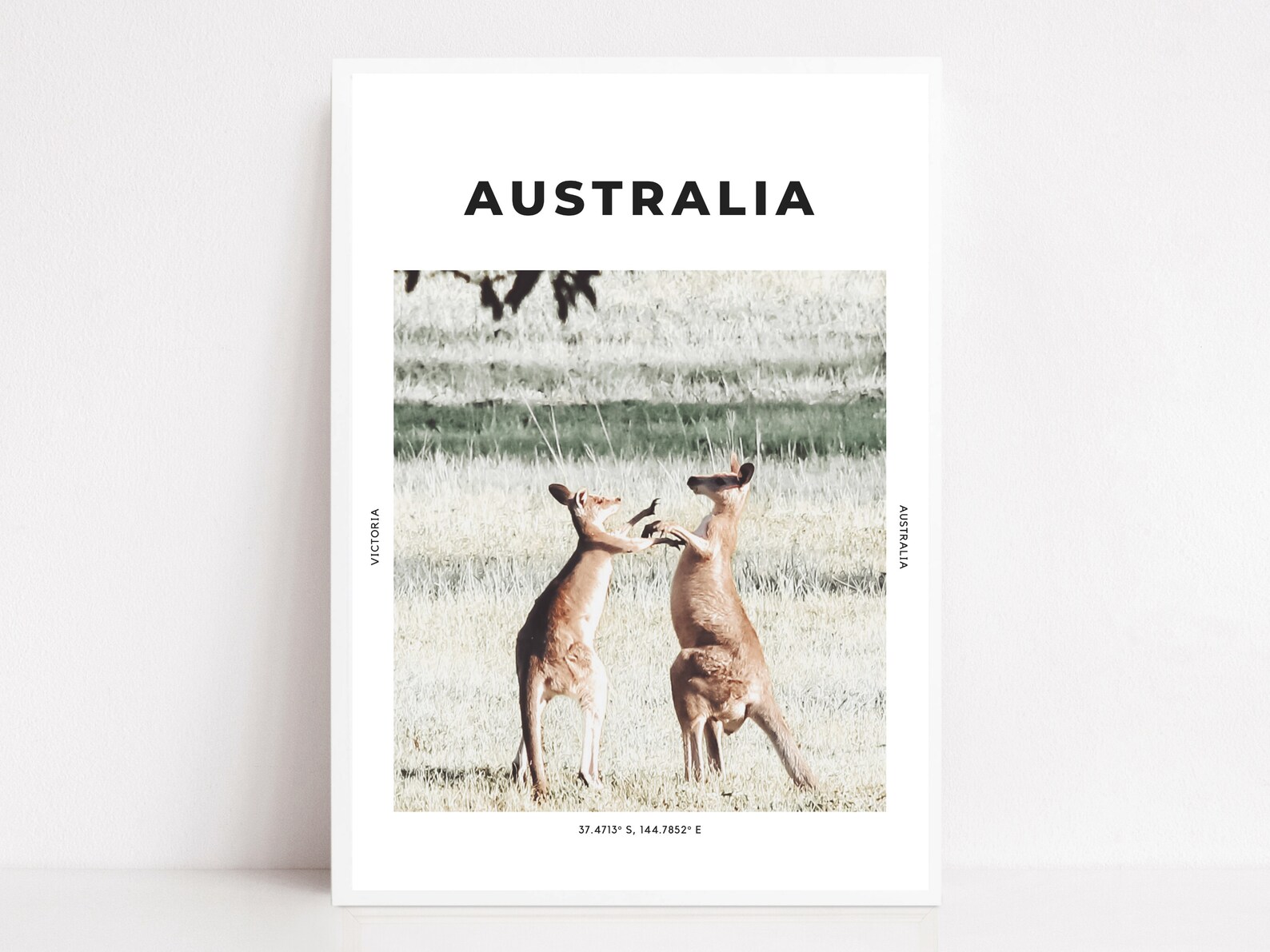 Australia Print Kangaroo Poster Animal Sydney Melbourne Wall | Etsy
