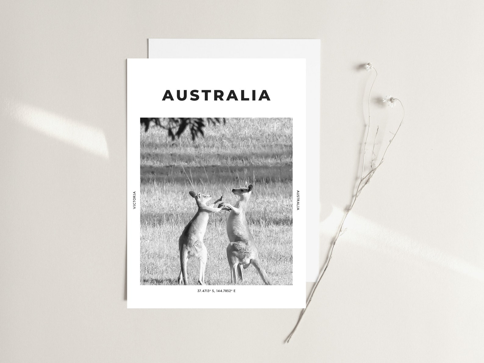 Australia Print Kangaroo Poster Animal Sydney Melbourne Wall | Etsy