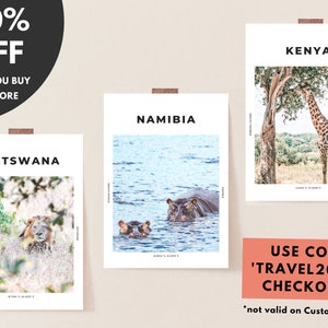 Botswana Print Lion Poster Africa Wall Art Animal Safari | Etsy