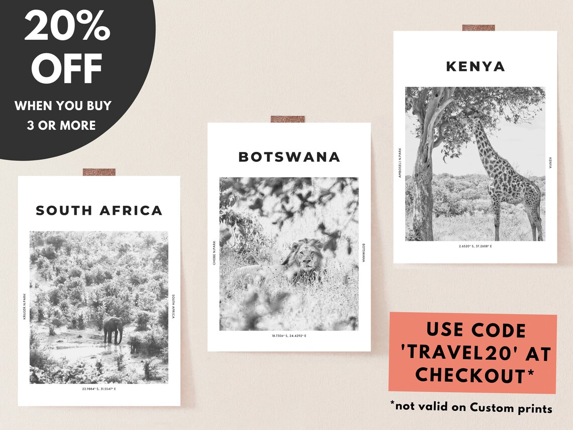 Botswana Print Lion Poster Africa Wall Art Animal Safari | Etsy