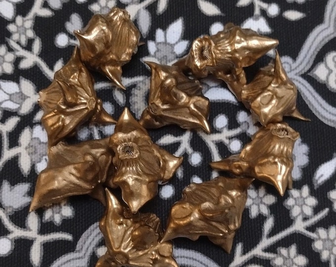 Bat's Head Root A Classic in Hoodoo and Folklore of Mexico, an Occult ...