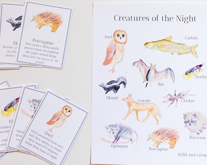 This item is unavailable | Etsy