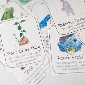 Frog Task Cards - Etsy