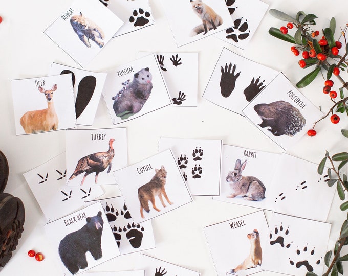 Animal Tracks Matching Game - Etsy