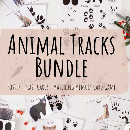 Animal Tracks Matching Game - Etsy