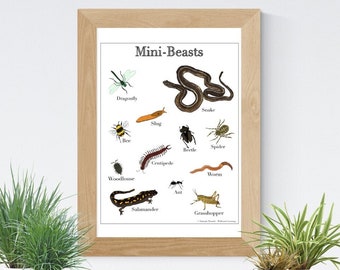 Hibernating Animals Poster and Fact Flash Cards - Etsy
