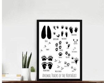 Animal tracks | Etsy