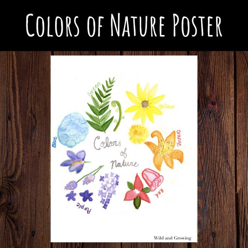 Colors of Nature Poster Classroom Decor Children's - Etsy