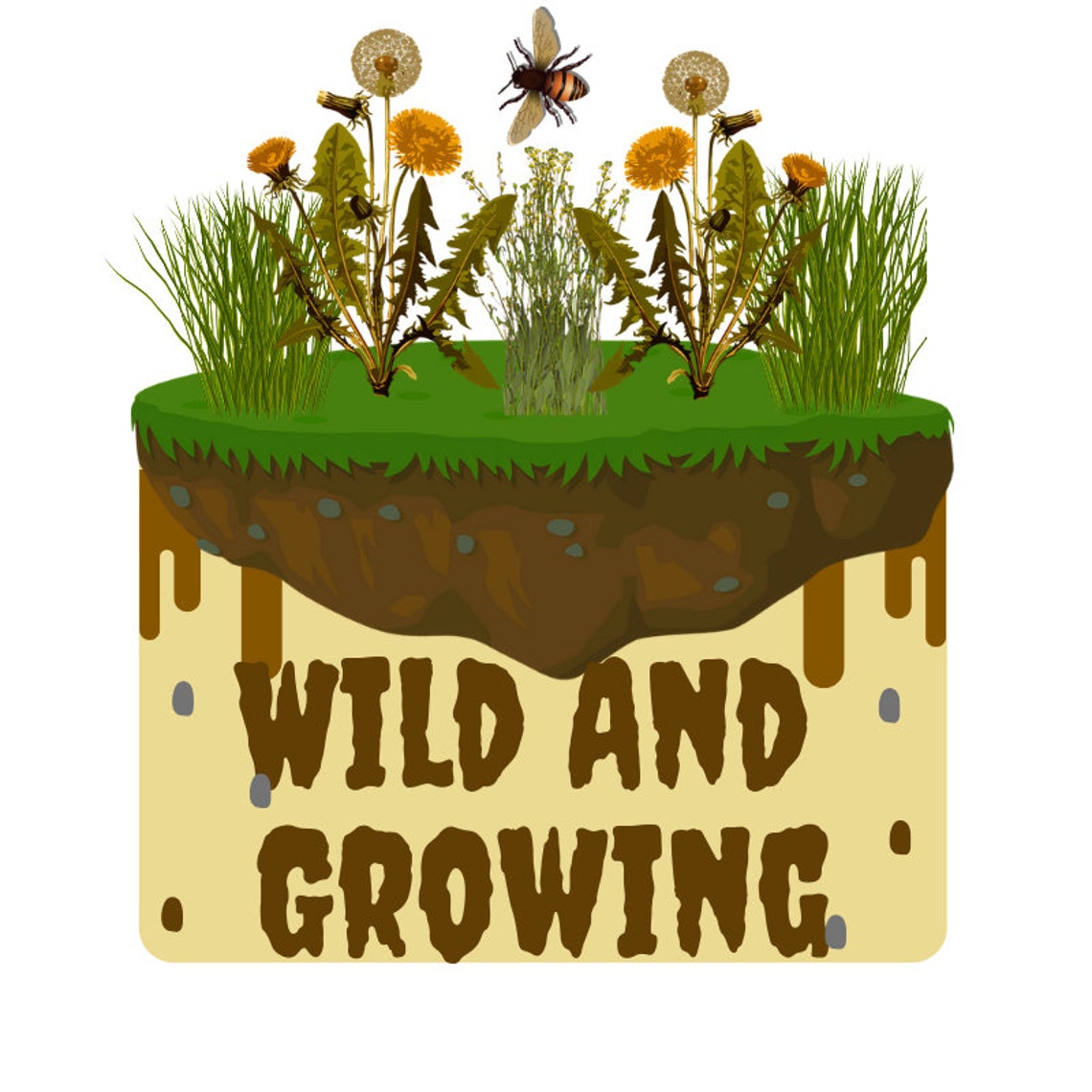 Salamander Life Cycle Activity | Digital Print - Etsy