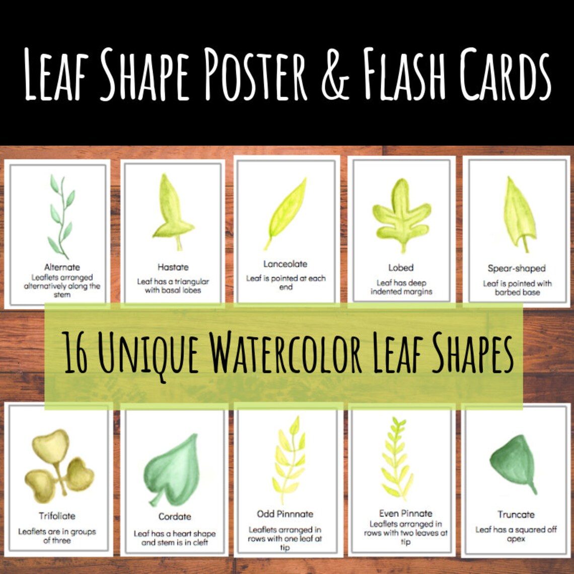 Leaf Shape Poster and Flash Cards - Etsy