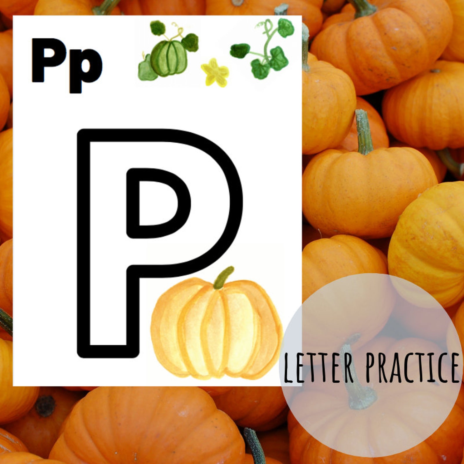 Pumpkin Mini-unit Study - Etsy