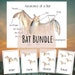 Bat Bundle Anatomy Worksheets and Counting Cards - Etsy