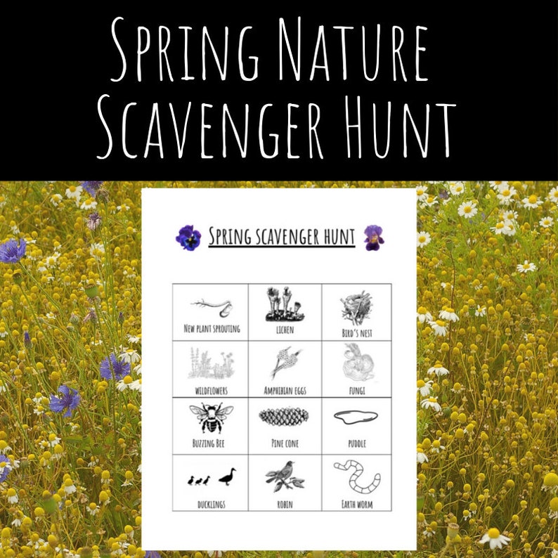 Nature Scavenger Hunt Bundle All Four Seasons Instant Download ...