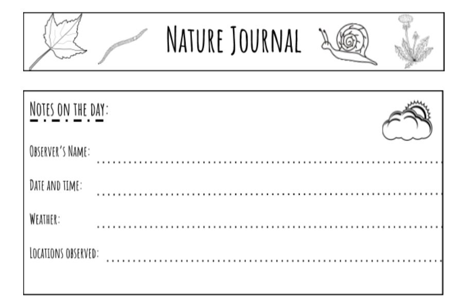 Nature Journal Worksheet for Kids-- Printable Instant Download - Etsy
