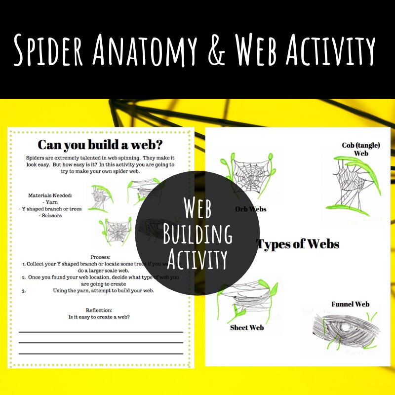 Spider Anatomy & Web Building Activity Book - Etsy