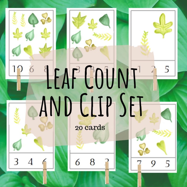 Leaf Count and Clip Set - Etsy