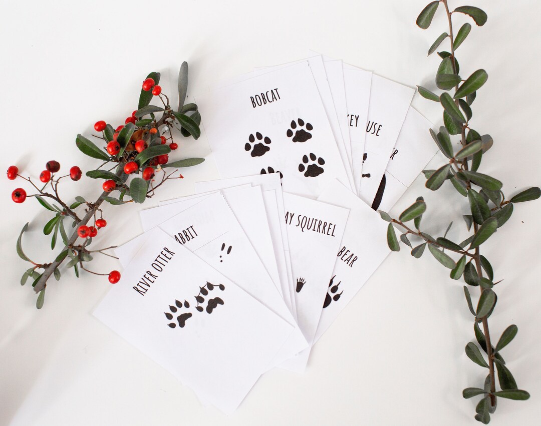 Animal Tracks Flash Cards--printable Instant Download - Etsy
