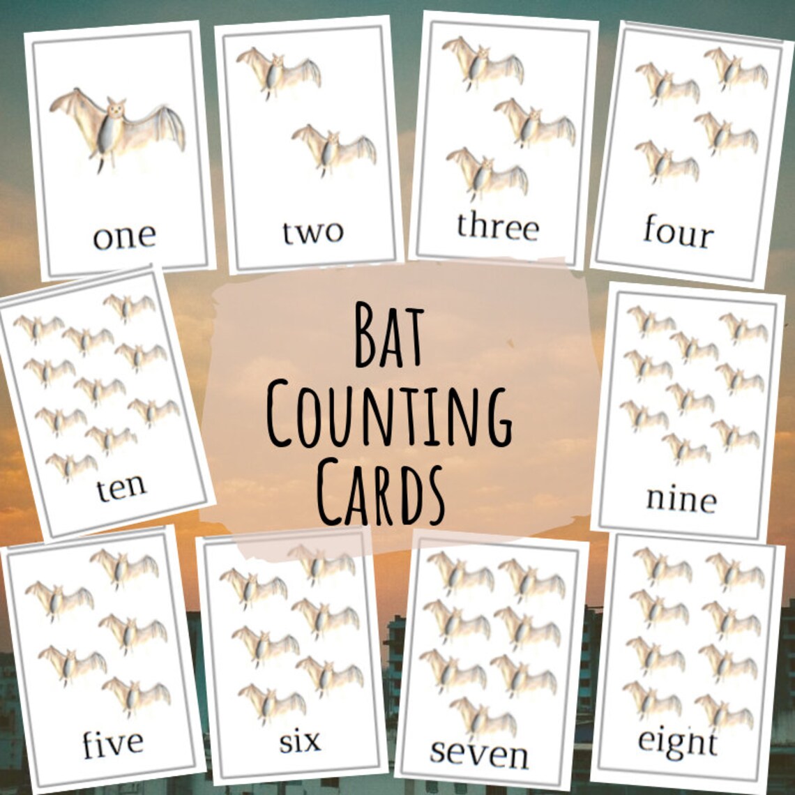 Bat Bundle Anatomy Worksheets and Counting Cards - Etsy
