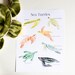 Sea Turtle Poster & Flash Cards | Instant Download - Etsy