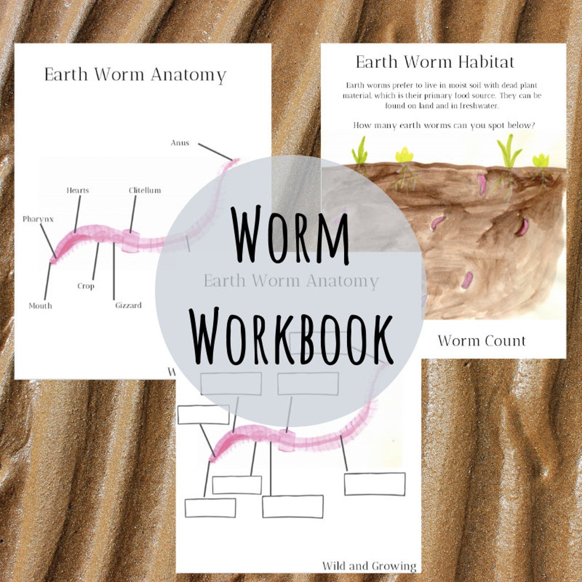 Worm Workbook Worm Anatomy & Habitat - Etsy