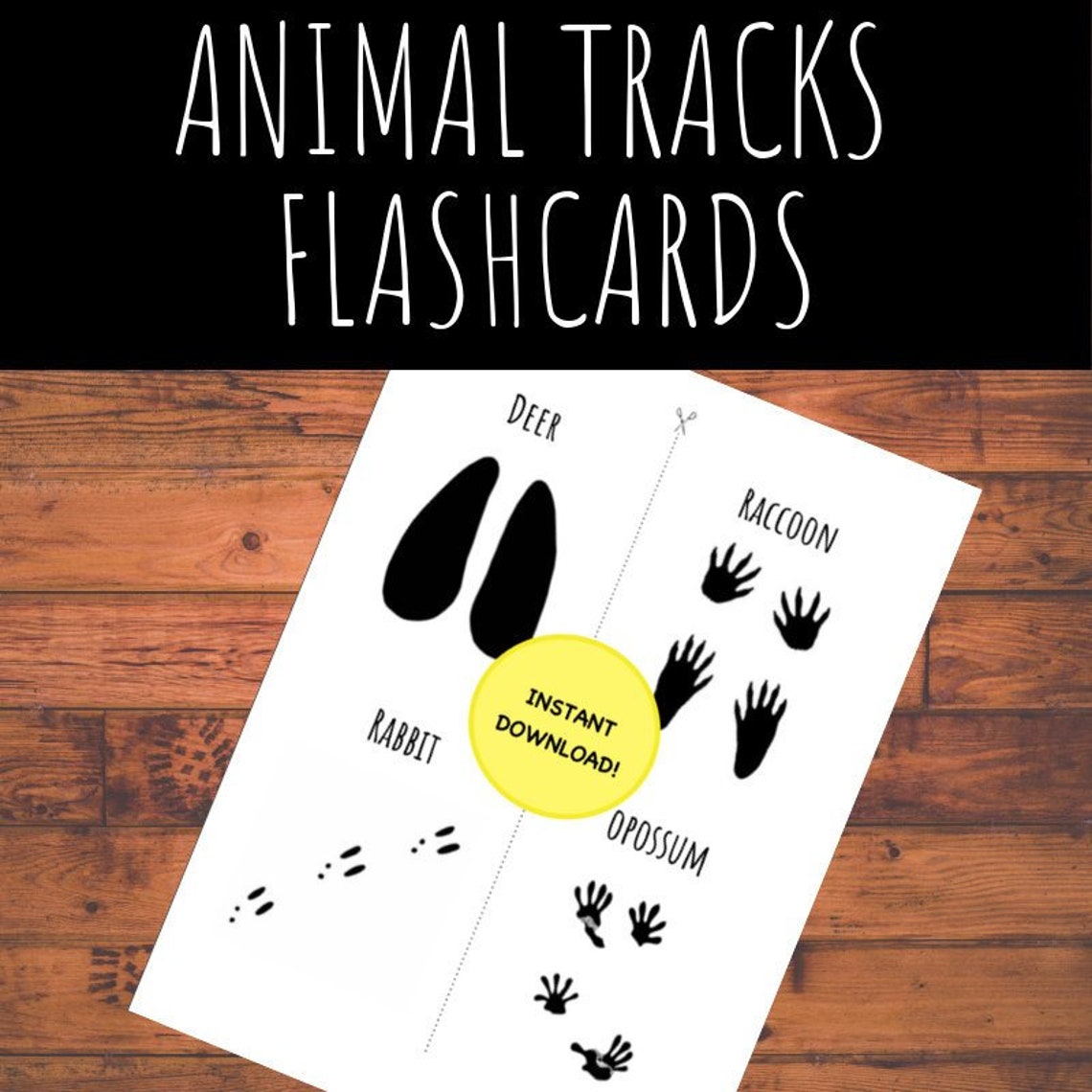 Animal Tracks Flash Cardsprintable Instant Download - Etsy
