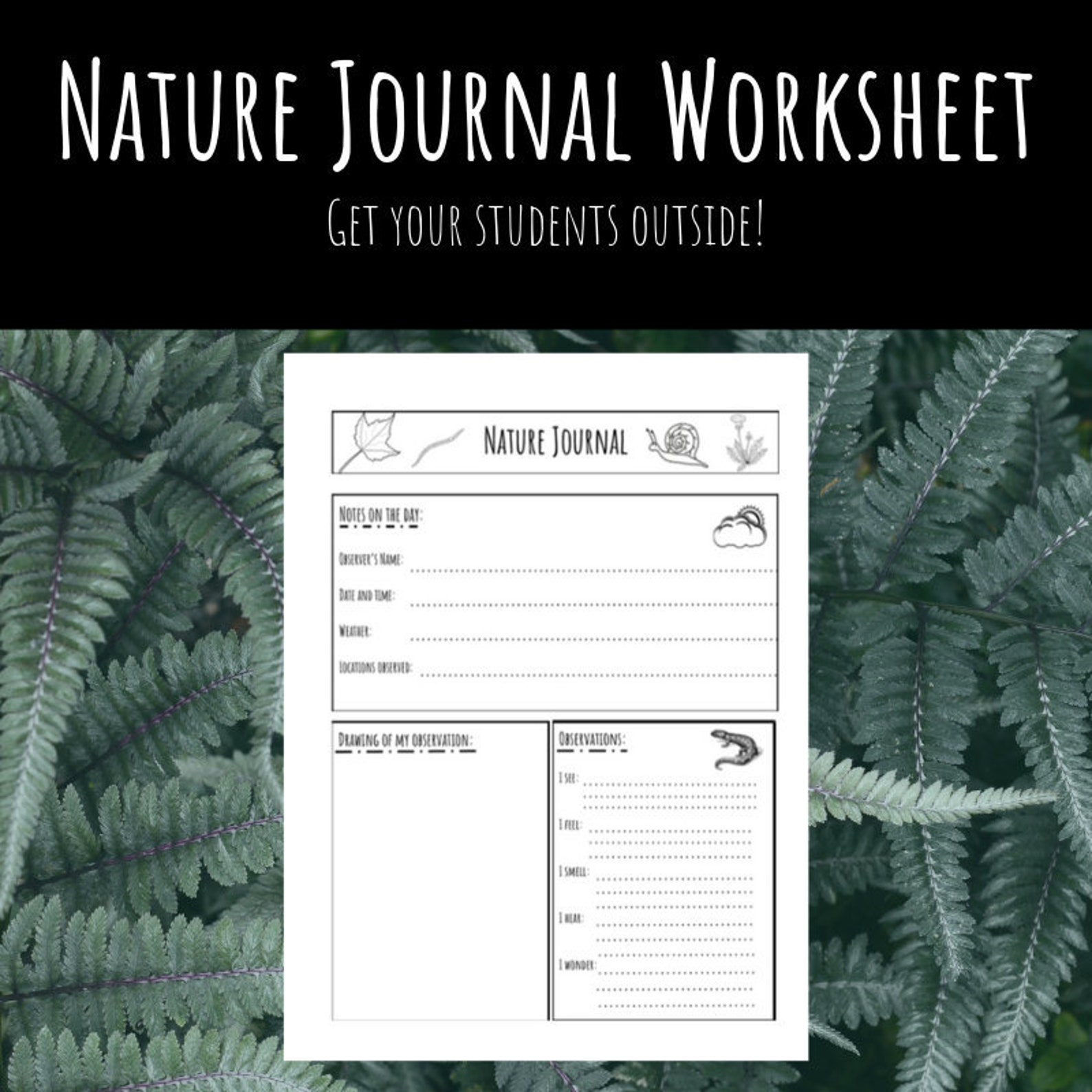 Nature Journal Worksheet for Kids-- Printable Instant Download - Etsy