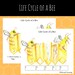 Bee Unit Study Bee Anatomy & Life Cycle Worksheets - Etsy