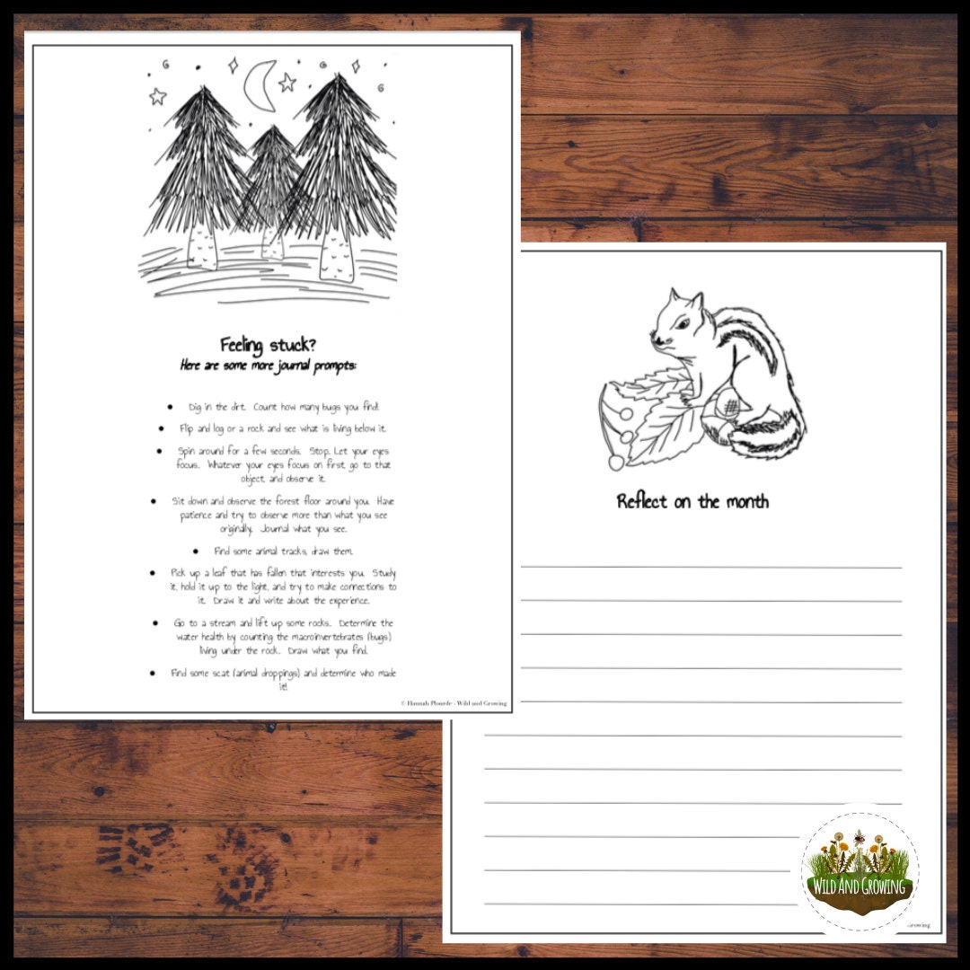 Month Long Nature Journal Guided Prompts and Activities Included ...