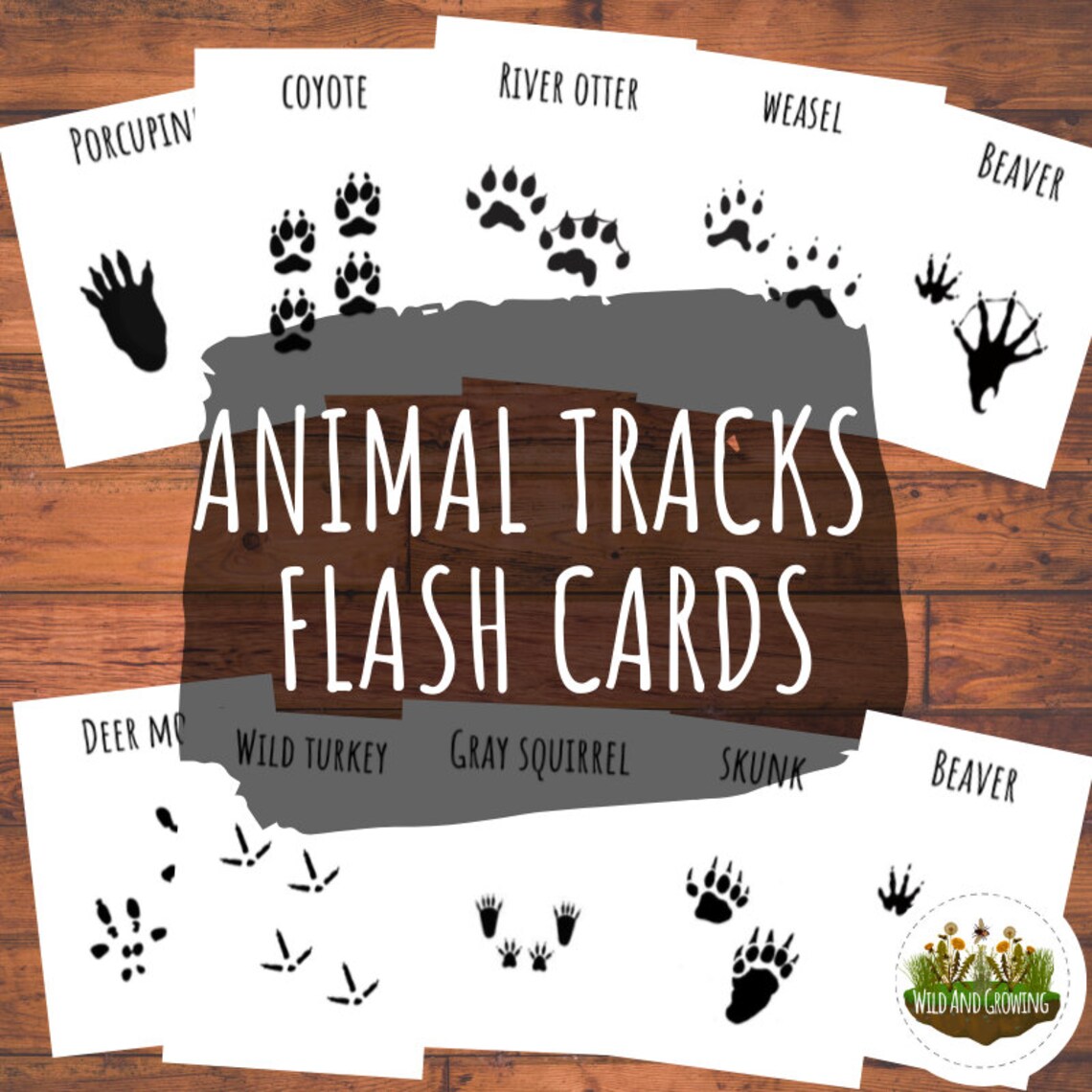 Animal Tracks Flash Cardsprintable Instant Download - Etsy