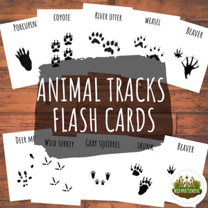 Animal Tracks Flash Cards--printable Instant Download - Etsy
