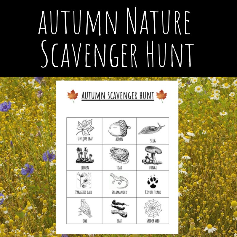 Nature Scavenger Hunt Bundle All Four Seasons Instant Download ...