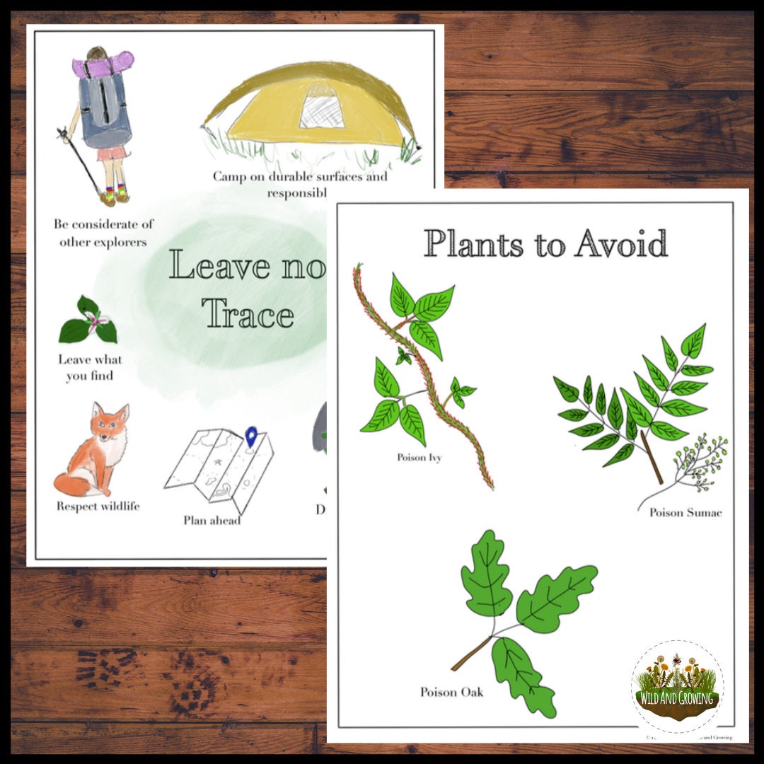 Month Long Nature Journal Guided Prompts and Activities Included ...