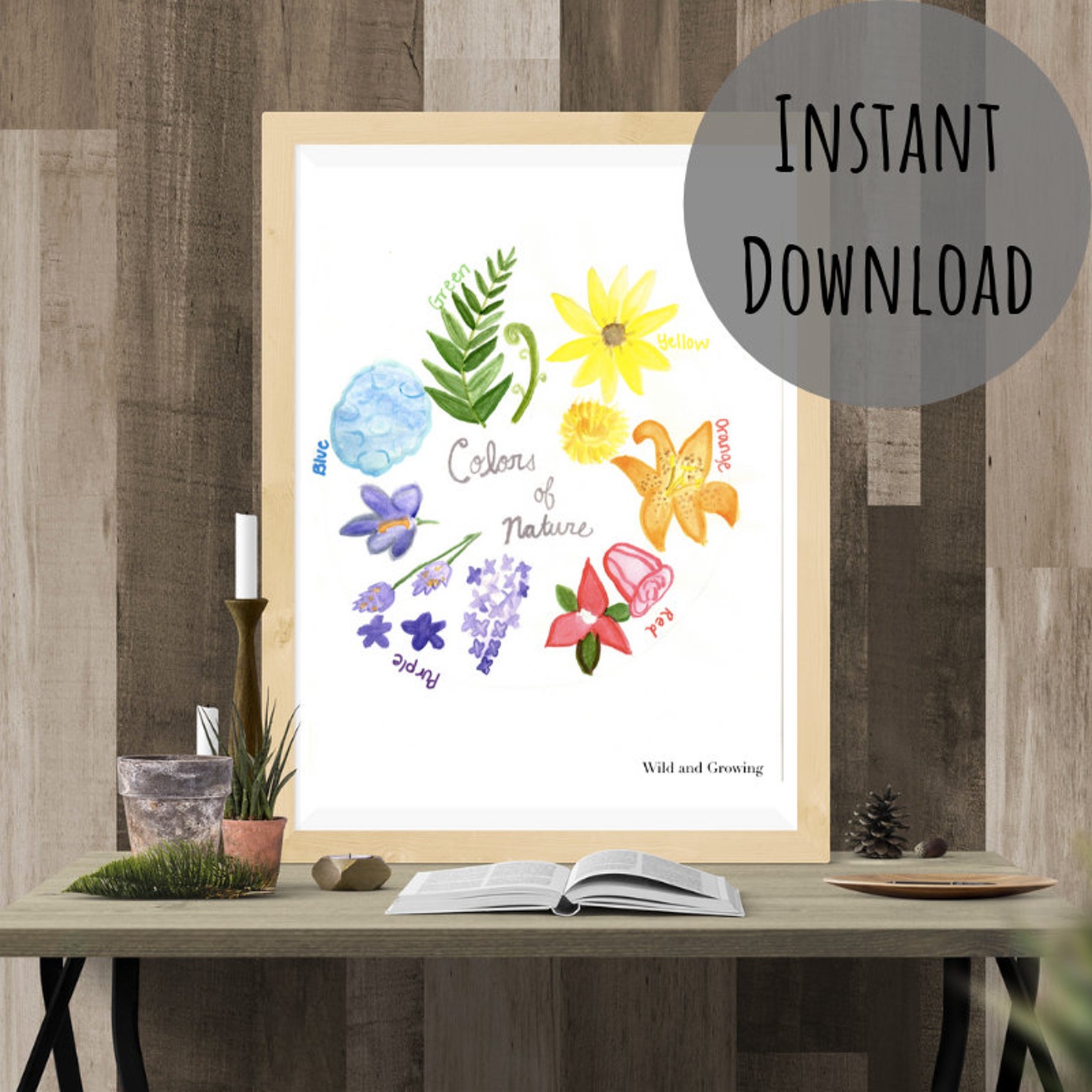 Colors of Nature Poster Classroom Decor Children's - Etsy