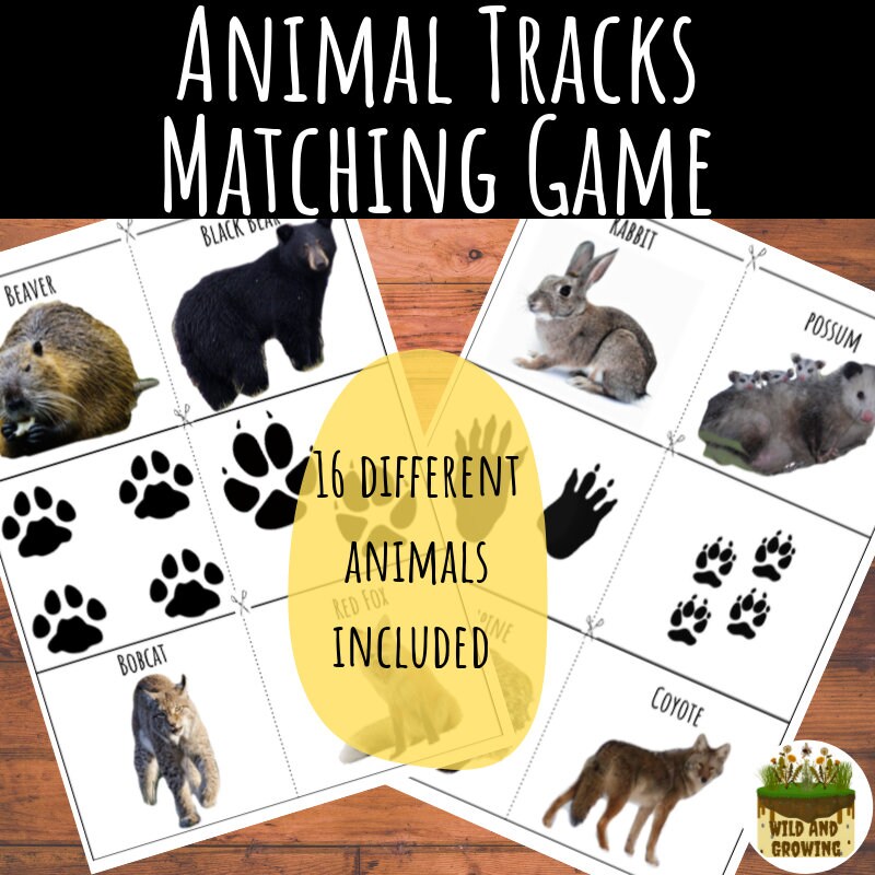 Animal Tracks Matching Game - Etsy
